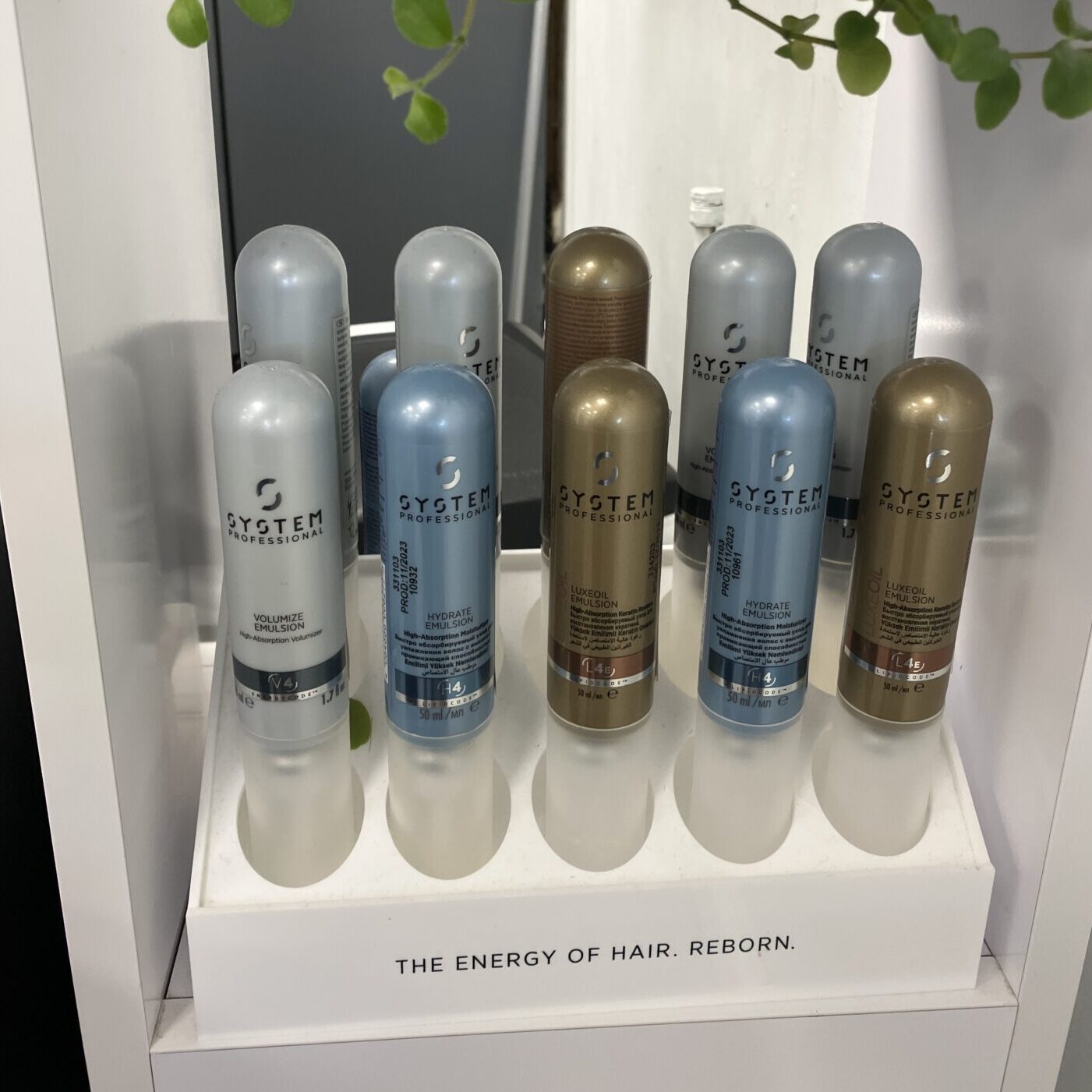 All About Wella System Professional Hair Treatments